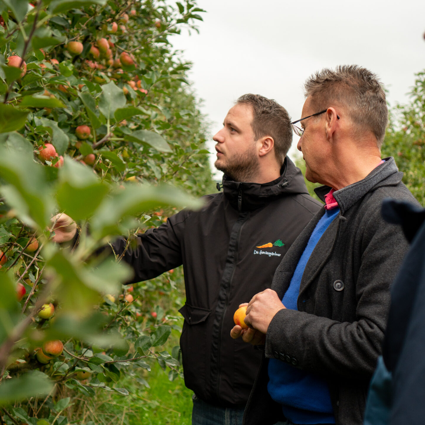 Äpfel aus dem Aten Land von Obsthof Münch