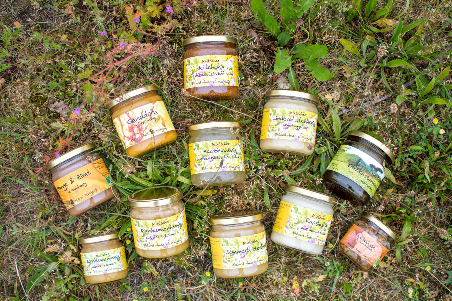 Bio-Honig aus der Region von der Imkerei Honigsüß